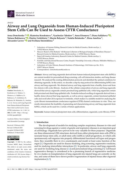 Pdf Airway And Lung Organoids From Human Induced Pluripotent Stem