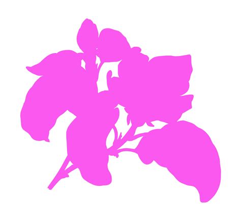 Svg شجرة فرع شجرة طبي كرز صورة Svg And أيقونة Svg Silh