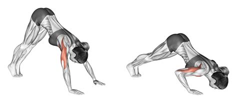 Pike Push Ups Benefits Muscles Worked And More Inspire Us