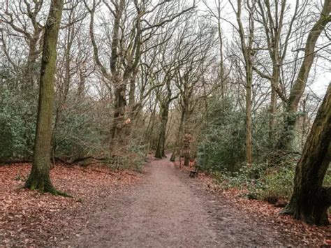 How To Do The Parkland Walk In North London She Walks In England
