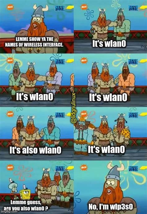 All Interface Name Are Similiar Until Systemd Came Rlinuxmemes