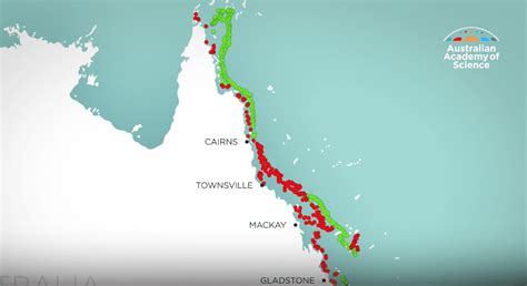 Great Barrier Reef Hit By Some Of The Worst Coral Bleaching In Years