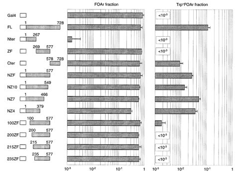 Two Domains Of CTCF Are Required For Insulation The Indicated Residues