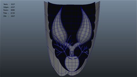 Reproductive System Of Cockroach 3d Model 69 Ma Obj Free3d