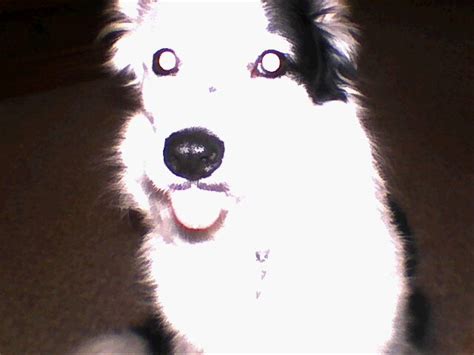 Nicola Wright Nicolajanewright Profile Padlet