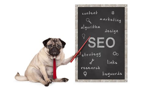 13 of the best seo tools for auditing and monitoring website performance