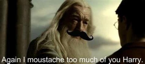 This Makes Me Chuckle Rharrypotter