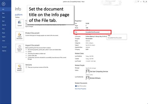 Create An Accessible ACM Submission Using Microsoft Word SIGACCESS