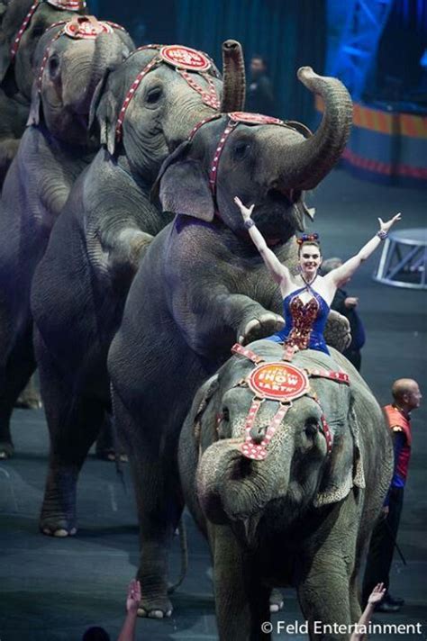 Pin By Stacy Rowe On A Circus Way Of Life Elephant Love Vintage