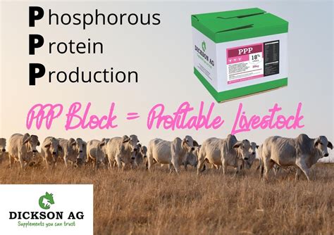 Dickson Ag Home Facebook