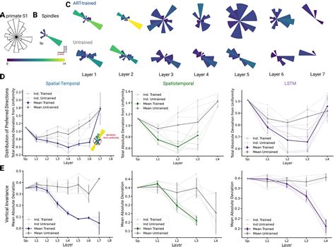 Contrasting Action And Posture Coding With Hierarchical Deep Neural