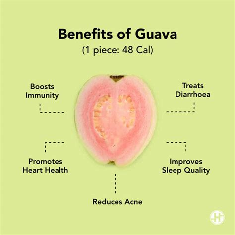 Health Benefits Of Guava Fruit At Rory Barbour Blog