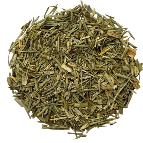 Horsetail Shavegrass Herbal Sense Life — A Herbal Lifestyle