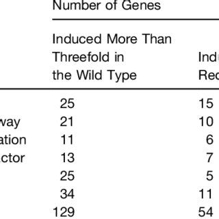 Summary Of The Microarray Experiment Download Table