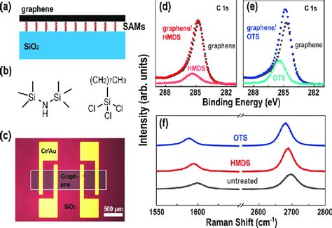 A Schematic Diagram Of Sams Located At The Graphene Sio 2 Interface Download Scientific