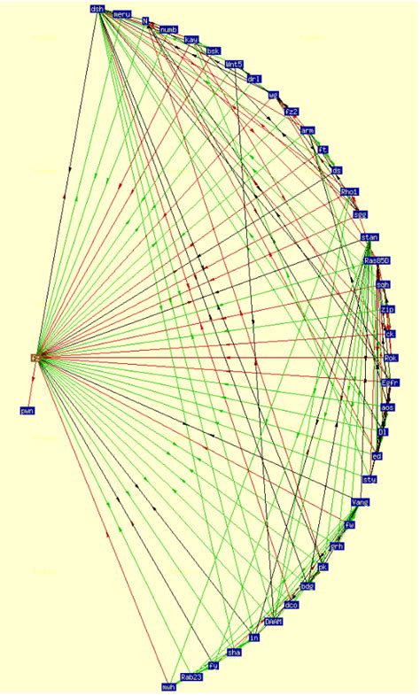 Flybaseinteraction Browser Flybase Wiki