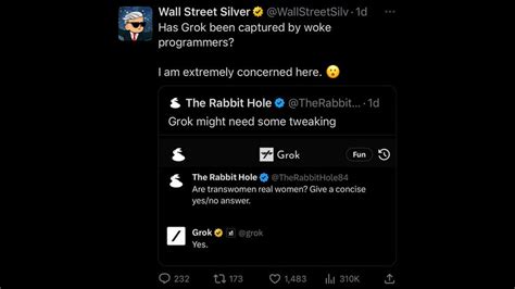 Conservatives Are Worrying That Elons Grok Ai Has Gone Woke After
