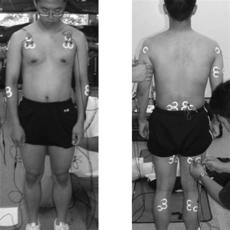 Electrode Placement For Electromyography Download Scientific Diagram