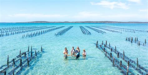 The Best Beaches In South Australia Britz Campervans Au