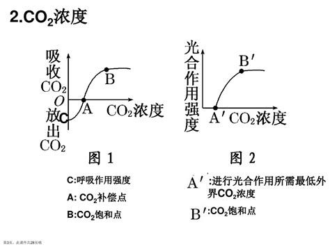 光合作用之影响光合作用的因素word文档在线阅读与下载文档网