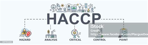 식품 안전 관리 시스템 위험 분석 중요 제어 포인트 및 인증서에 대한 Haccp 배너 웹 아이콘 최소한의 만화 벡터 인포 그래픽