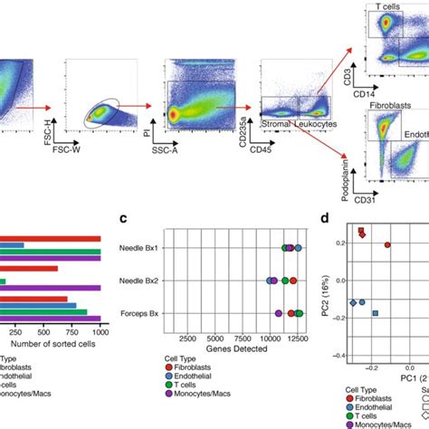 Low Input Rna Seq Distinguishes Cell Populations Sorted From Download Scientific Diagram