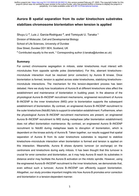 Pdf Aurora B Spatial Separation From Its Outer Kinetochore Substrates