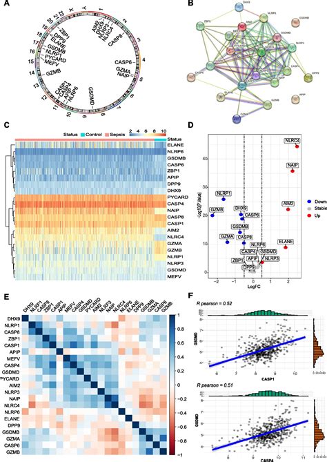 Construction Of Sepsis Diagnostic Models And Identification Shock