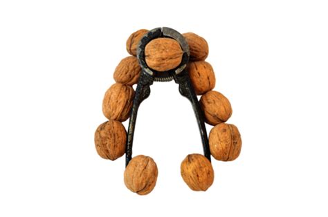 Walnut And Walnut Cracking Tool Nature Walnuts Cracker Nutcracker