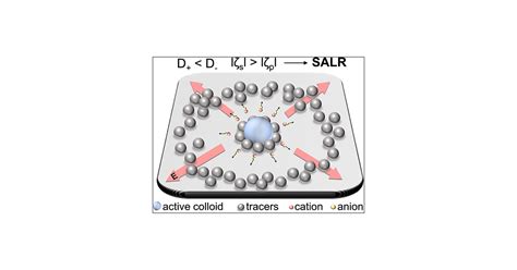 A Conceptual Framework To Understand The Self Assembly Of Chemically