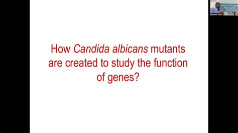 Crispr Conference Crispr Cas9 Applications In Eukaryotic Pathogens