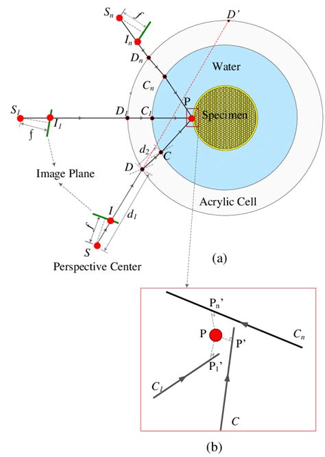 Schematic Plot Of Ray Tracing Process Download Scientific Diagram