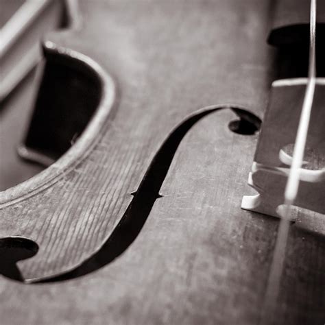 Billroth Quartet