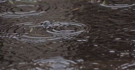 집 밖의 H2 O 고요한 깨끗한 날씨 달래는 동그라미 맑은 물 물방울 물웅덩이 물을 튀기는 물을 튀기다 미니멀 반사 비 비 내리는 빗방울