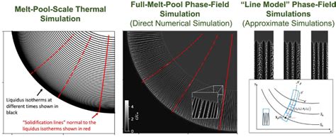 dendrite resolved full melt pool phase field simulations to reveal non