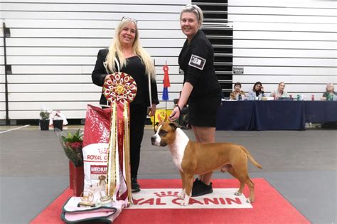 2024 03 02 Södertälje Östsvenska Terrierklubben