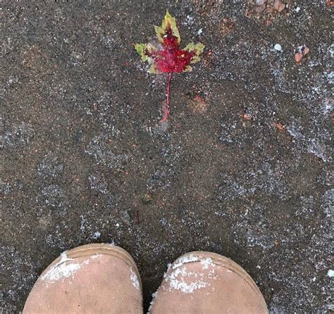 Contradicting Longing Poem Short Sweet Valuable