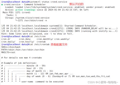 linux进程以及计划服务（二） linux如何通过计划任务启动服务 csdn博客
