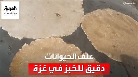 سكان غزة يضطرون لاستخدام علف الحيوانات كبديل للدقيق Youtube