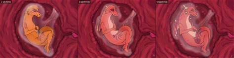 Rule 34 Ambiguous Species Amniotic Fluid Amniotic Sac Anthro Anthro Transformation Bodily