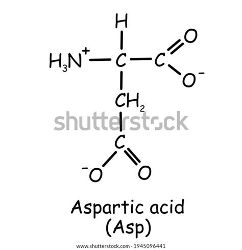 Basic Amino Acid Structures