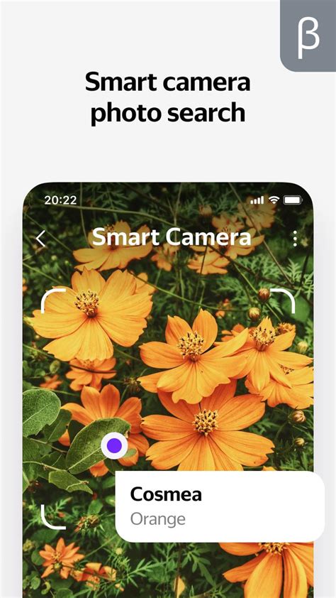 Yandex With Alice Beta Apk For Android Download