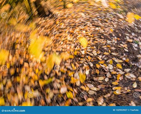 Autumn Leaves In Yellow And Orange Falling And Fallen In Rotating