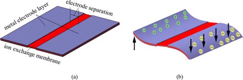 The Twisting Motion Of Ipmc With Patterned Electrode A Before Download Scientific Diagram