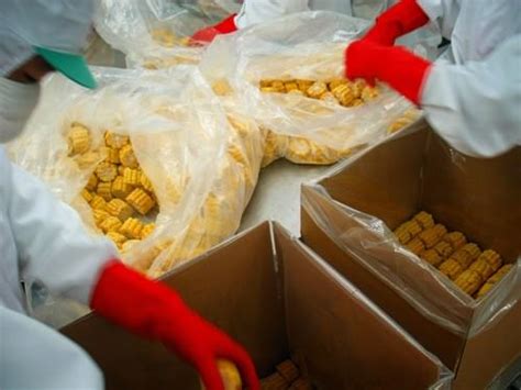 Iqf Mini Sweet Corn On The Cob