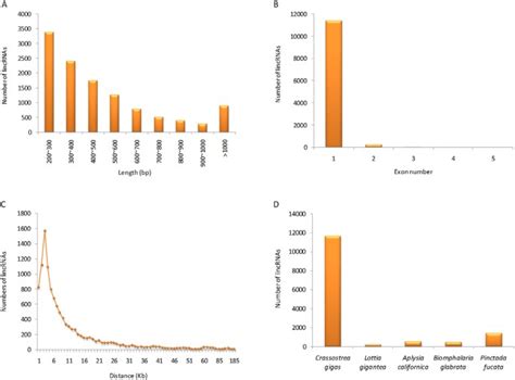 Genome Wide Identification And Characterization Of Long Intergenic