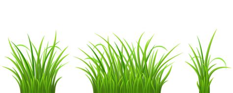 Tufts Of Grass Clipart From The Side