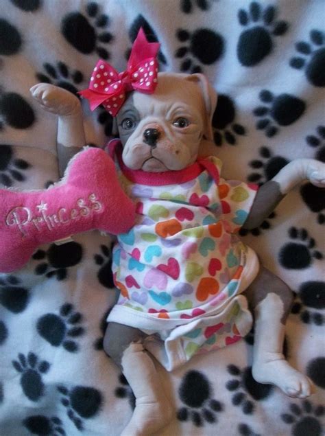 ปักพินโดย Amanda Ribeiro ใน Princess Pugs Dolls Reborns