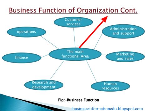 Small Business And Business Information Function Of Business