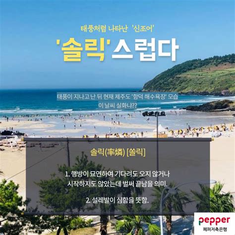 디지털페퍼 페퍼저축은행 솔릭스럽다 24일현재 우리나라 모든 지역에 태풍 특보가 해제